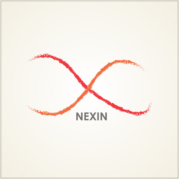 NEXIN | Artigos